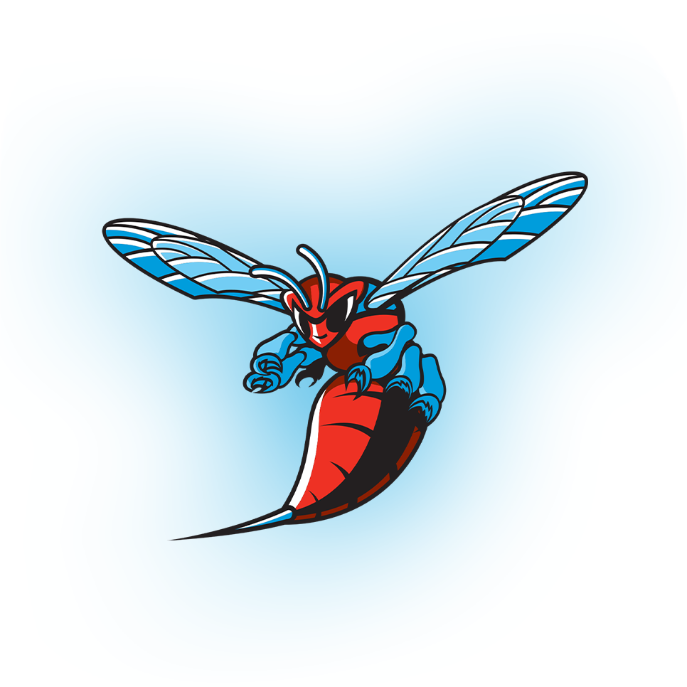 download-today-delaware-state-hornets
