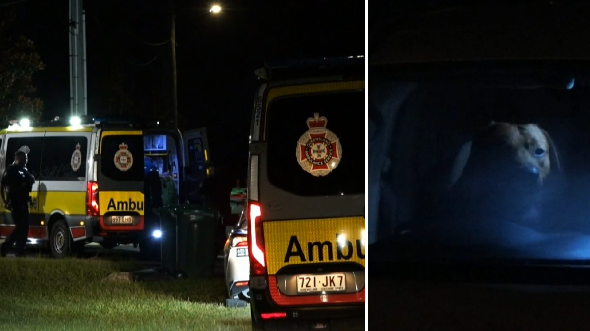 WATCH: Gold Coast man hospitalised after serious dog attack